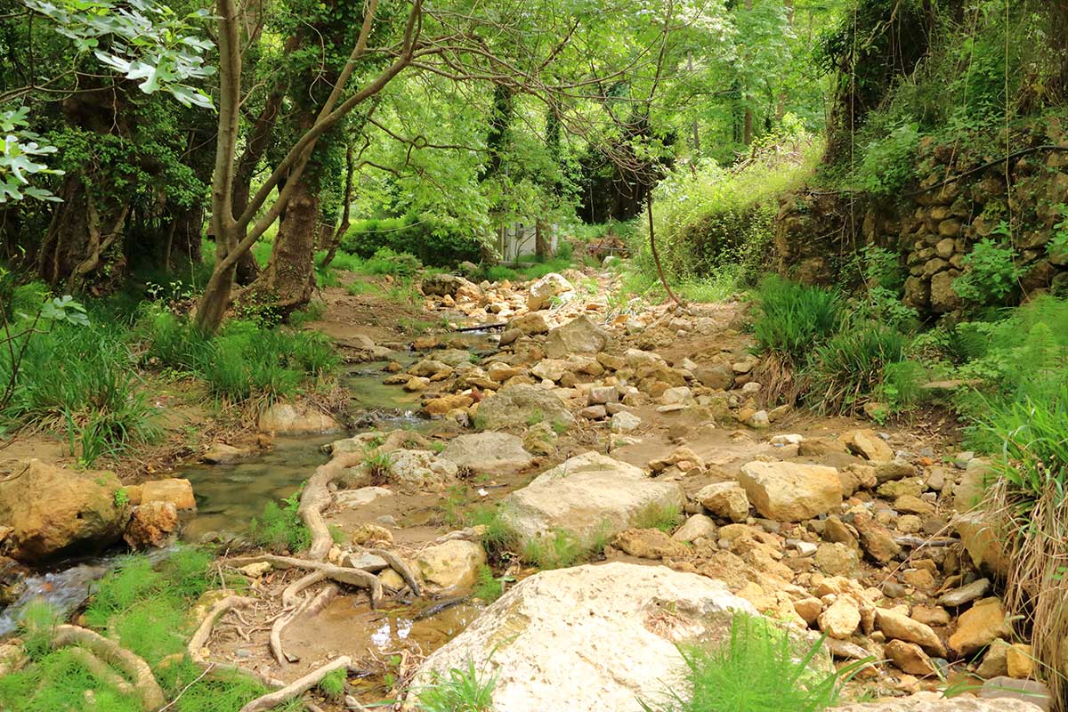 Autumn, the Best Season to Trek the Gorges of Crete - The Syntopia Blog