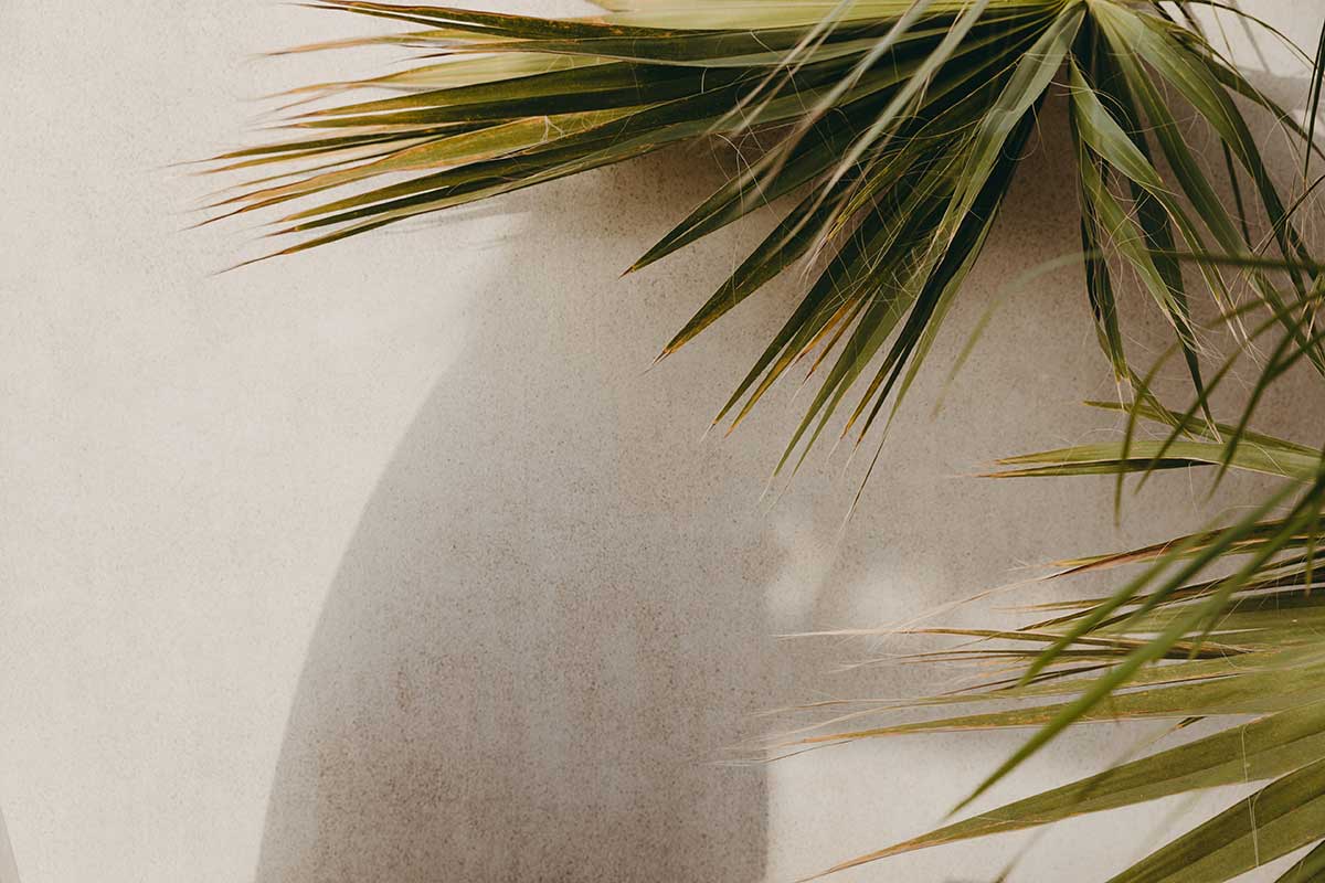 The Syntopia Hotel’s Interior Design - The Syntopia Blog