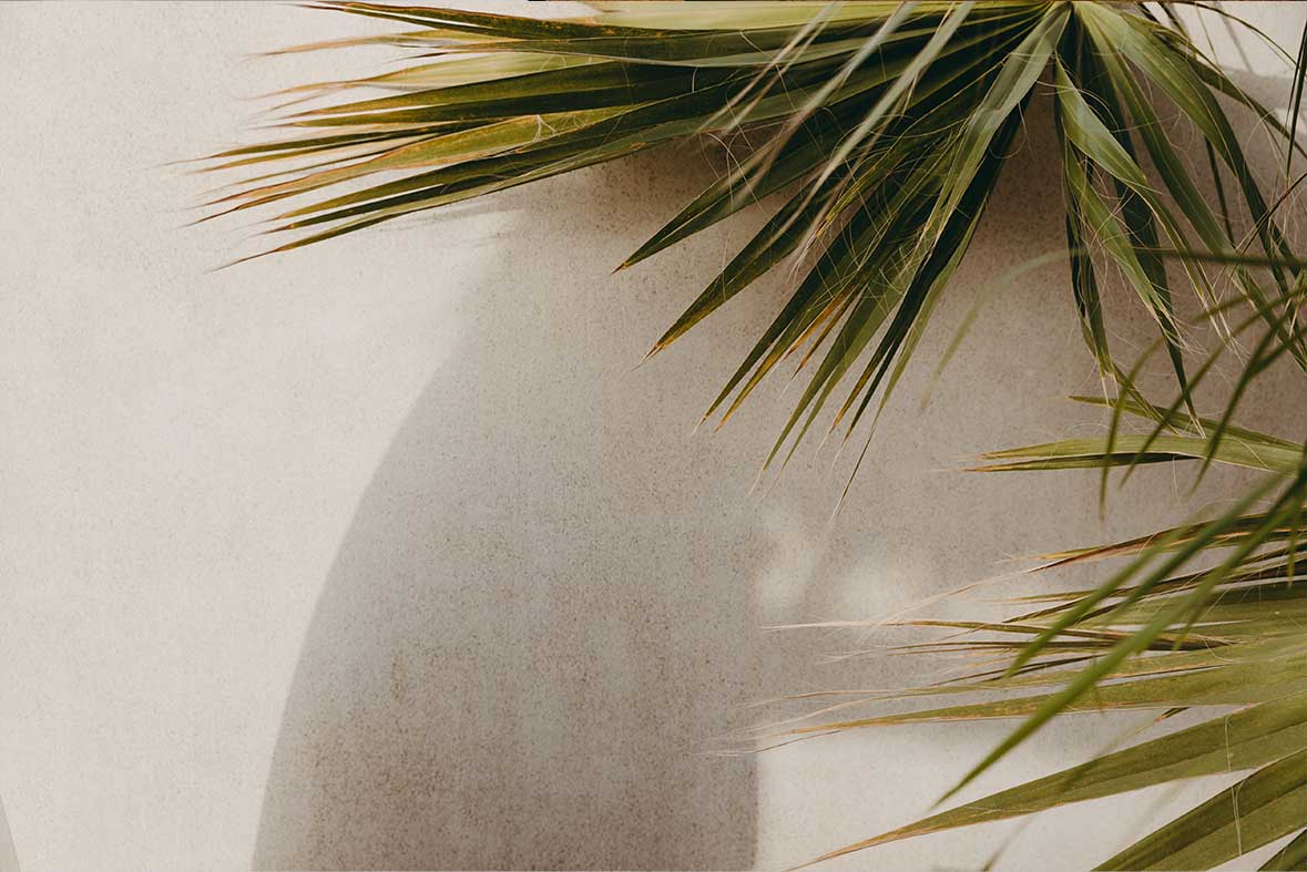 The Syntopia Hotel in Crete: Embracing Nature-Inspired Interior Design ...