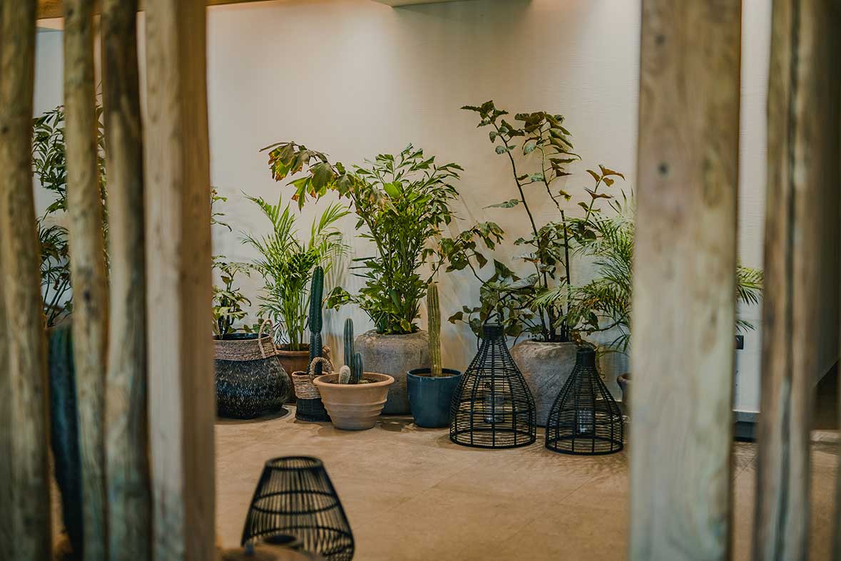 The Syntopia Hotel in Crete: Embracing Nature-Inspired Interior Design ...